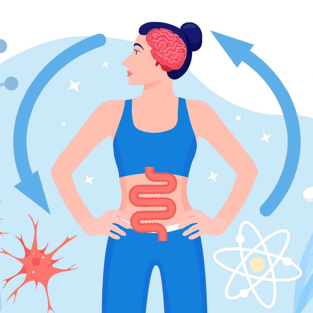 Gut Feelings: What Are They? | Daiwa Health Development, Inc.