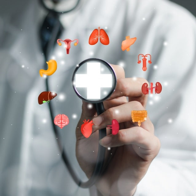 Holistic Ways to Protect Your Organs – Daiwa Health Development, Inc.